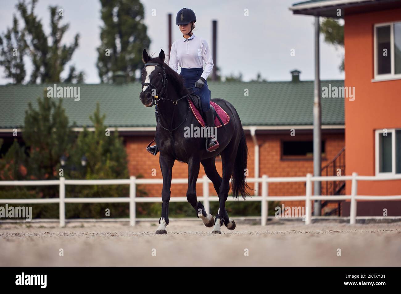 Female rider on horseback riding trot around the sandy arena in ...