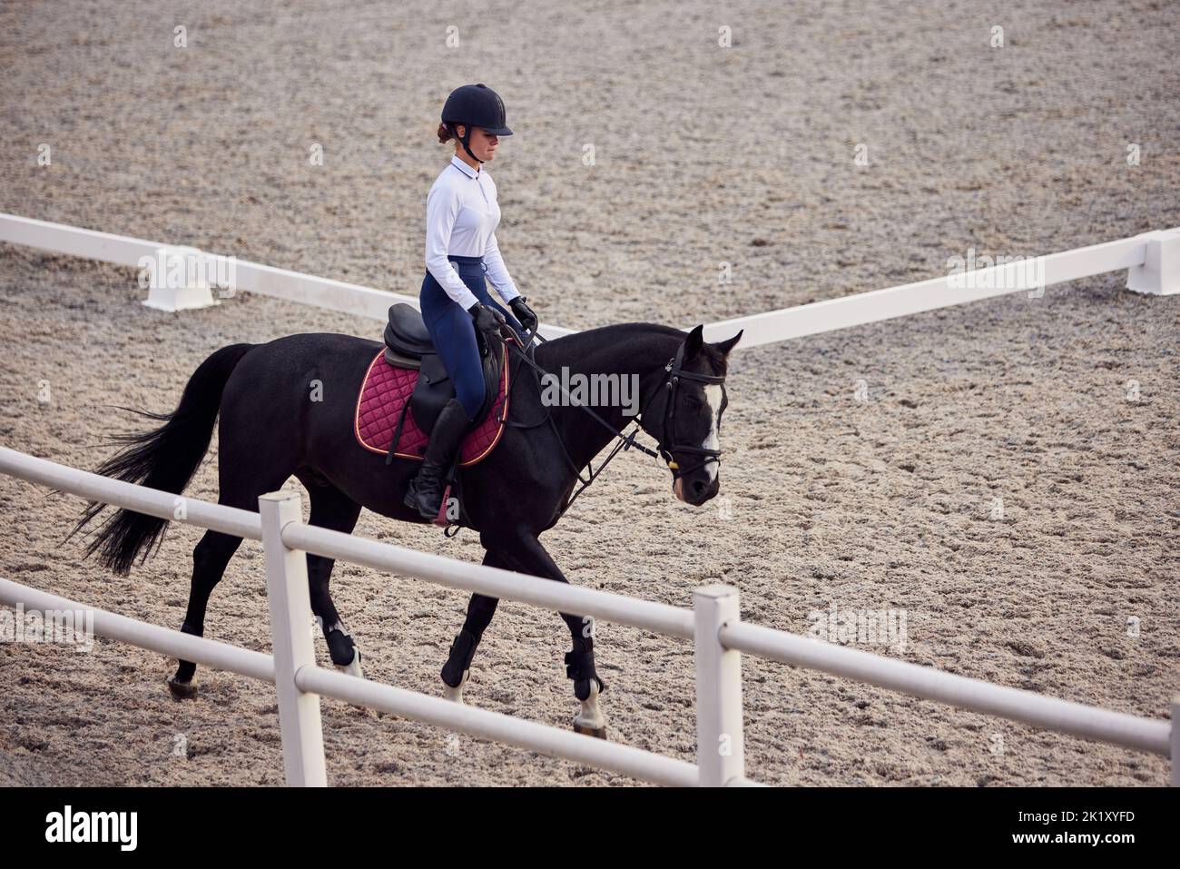 Equestrian sport. Portrait of teen girl, beginner female rider training ...
