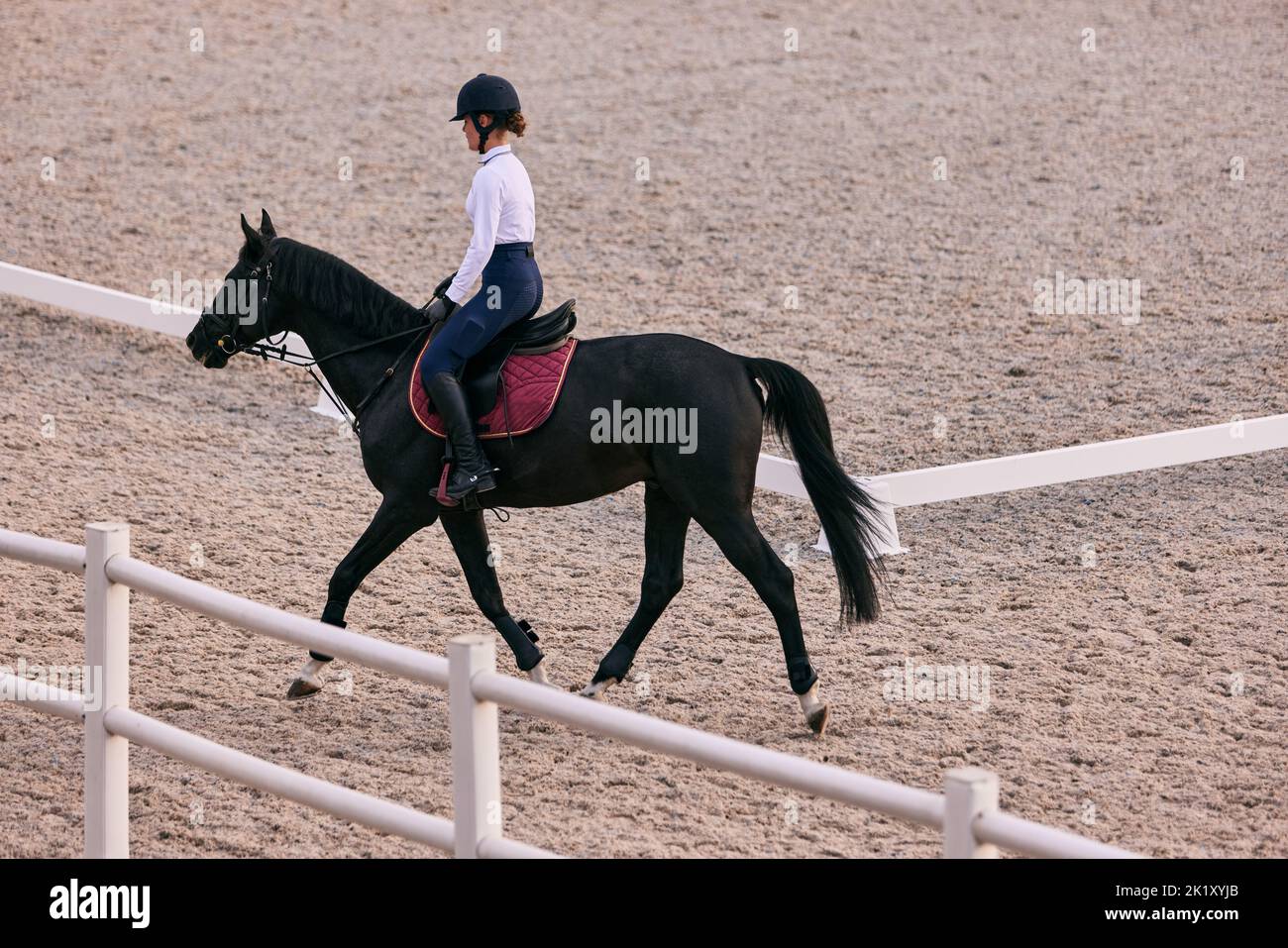 Female rider on horseback riding trot around the sandy arena in ...