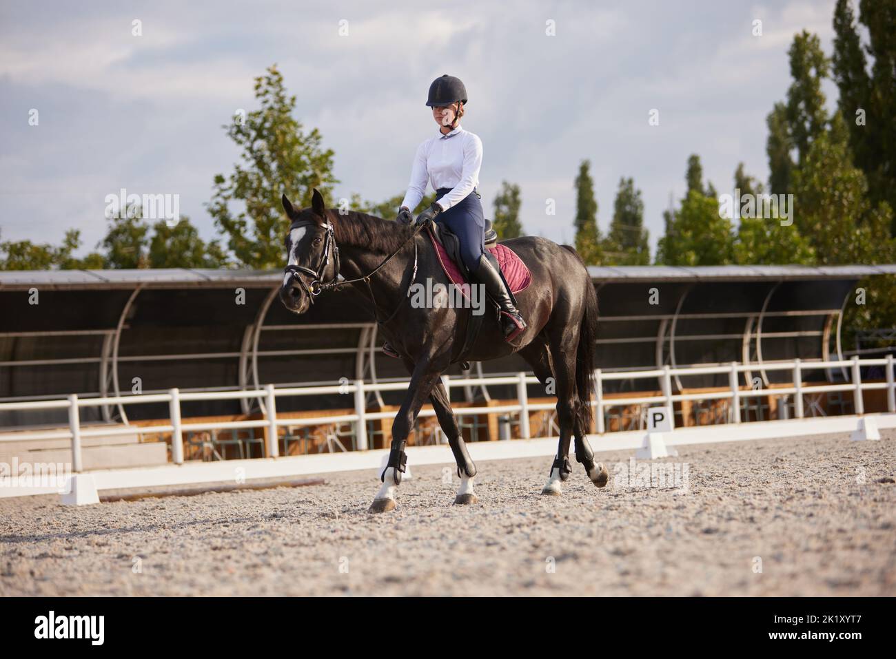 Equestrian sport. Portrait of teen girl, beginner female rider training ...