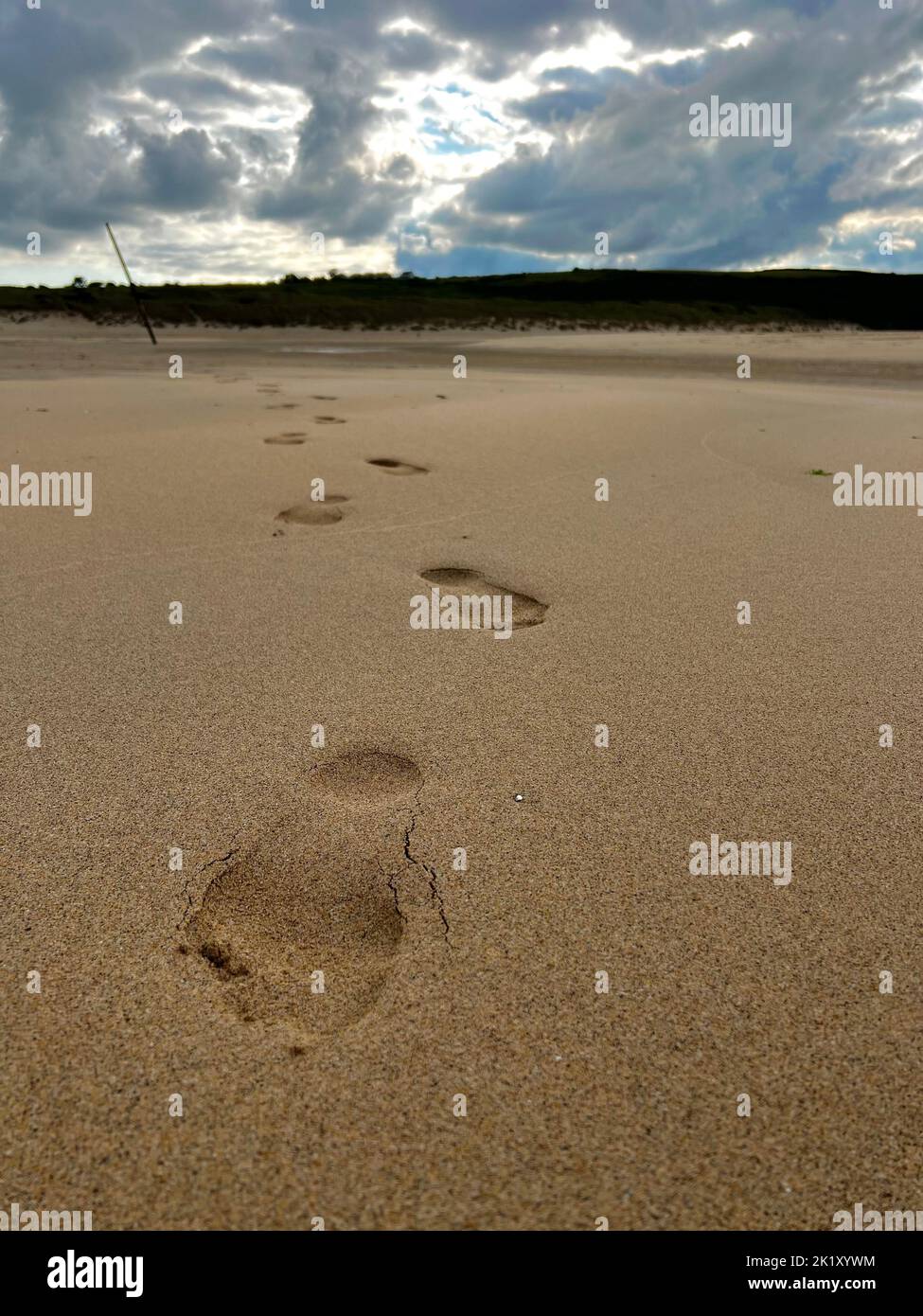 Footprints in the sand on a beach Stock Photo - Alamy