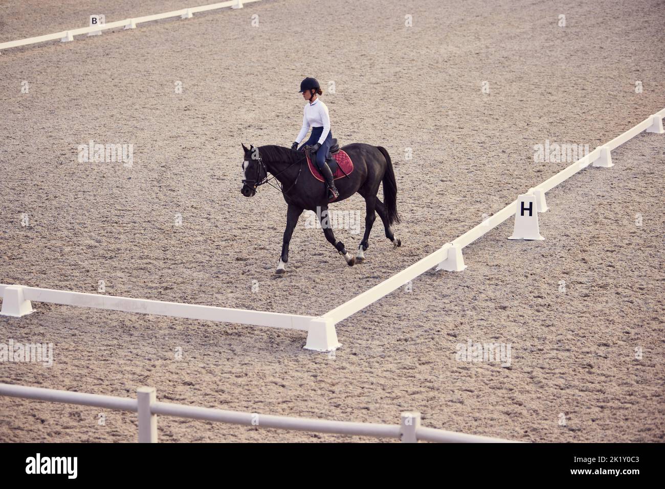 Female rider on horseback riding trot around the sandy arena in ...