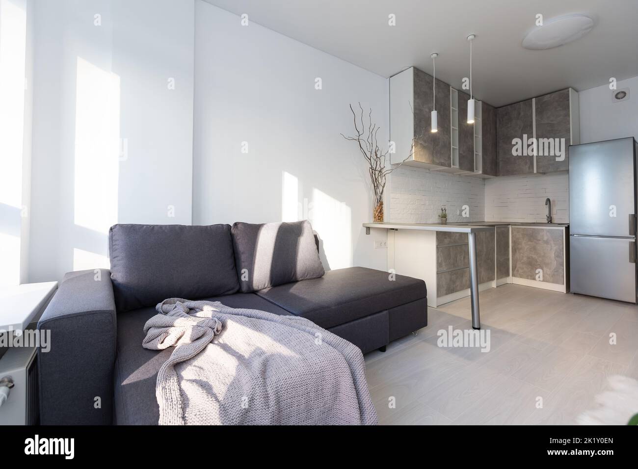 Modern minimalistic dark gray loft style studio apartment interior ...