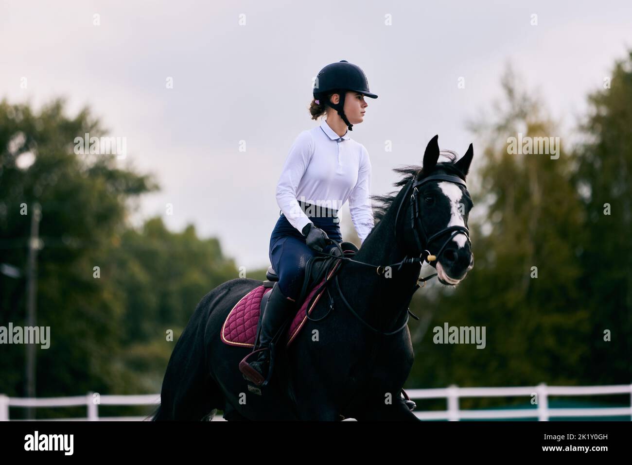 Professional rider hi-res stock photography and images - Alamy