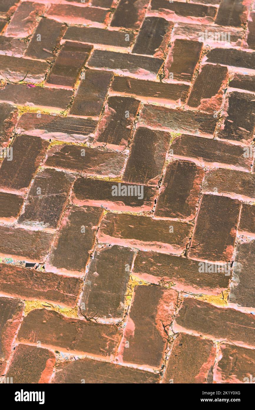 Herringbone brick path garden hi-res stock photography and images - Alamy