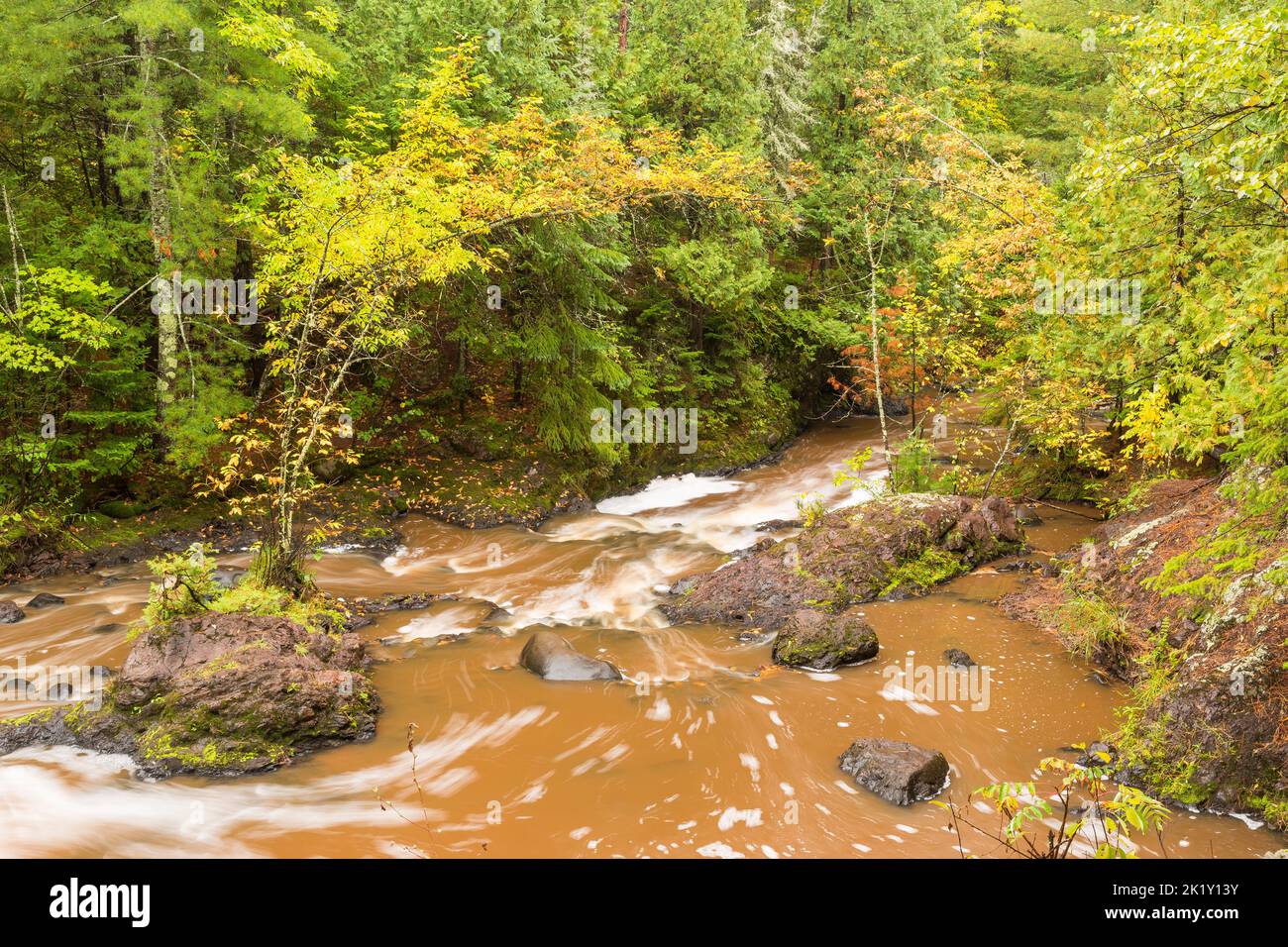 A river in the woods with a cascading waterfall during autumn Stock ...