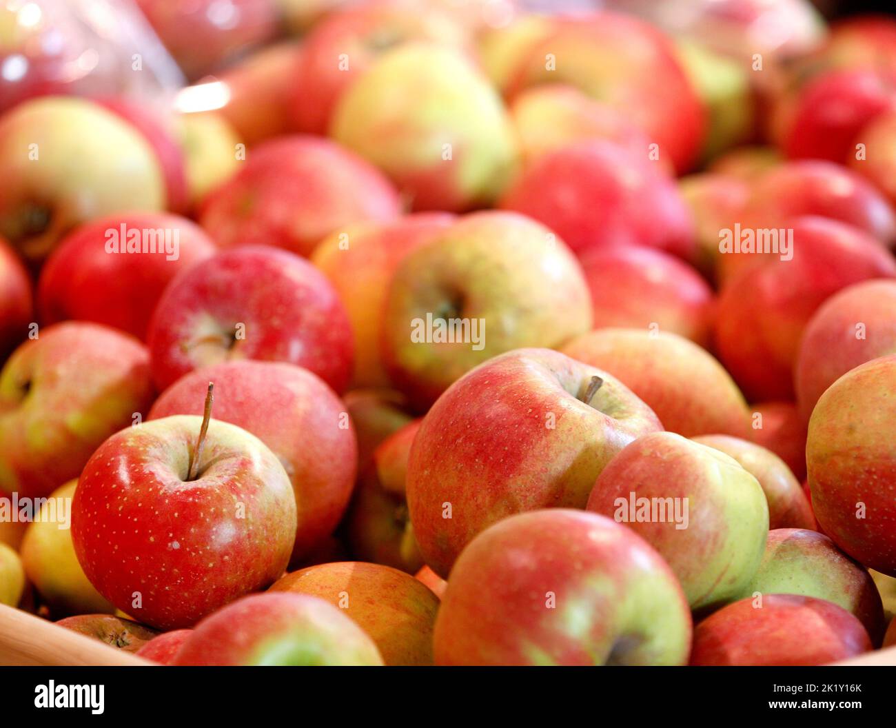 Apple wellant hi-res stock photography and images - Alamy