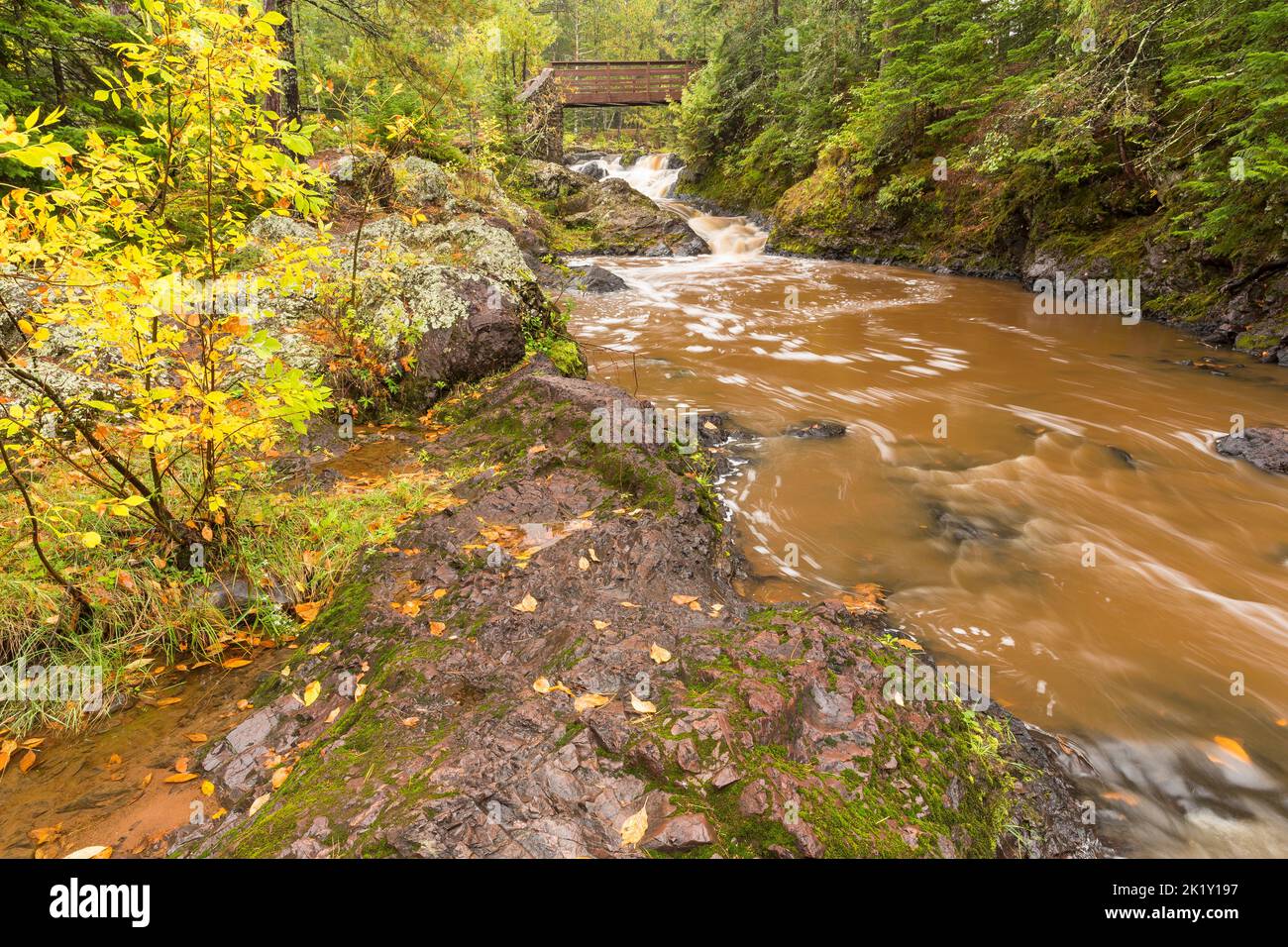 Waterfall of snake hi-res stock photography and images - Alamy