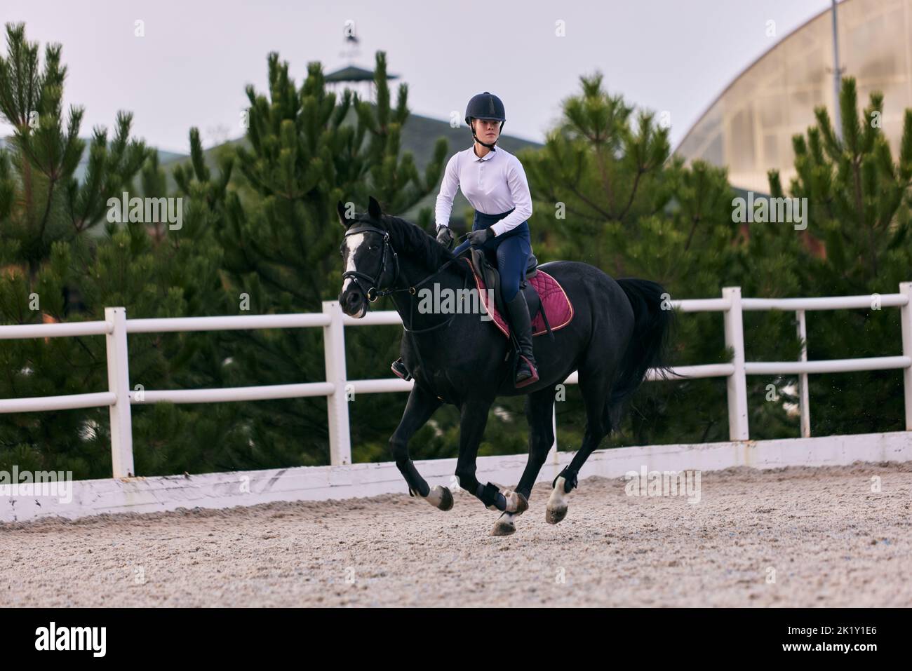Female rider on horseback riding trot around the sandy arena in ...