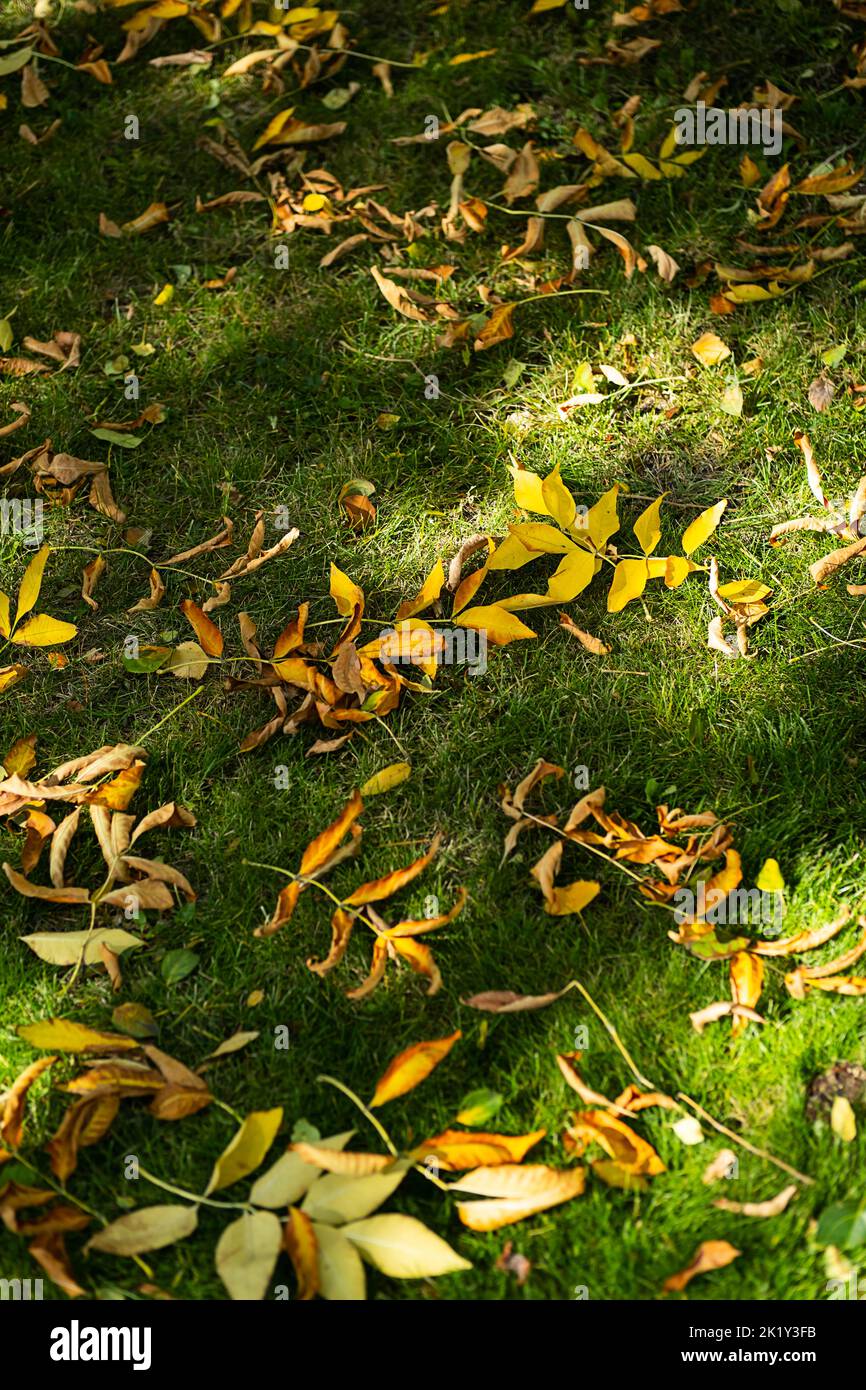 First morning sunlight falling hi-res stock photography and images - Alamy