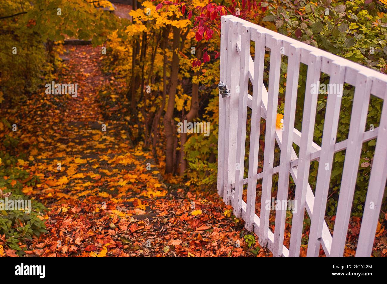Horizontal shot of a white gate open showing a multicolored path ...