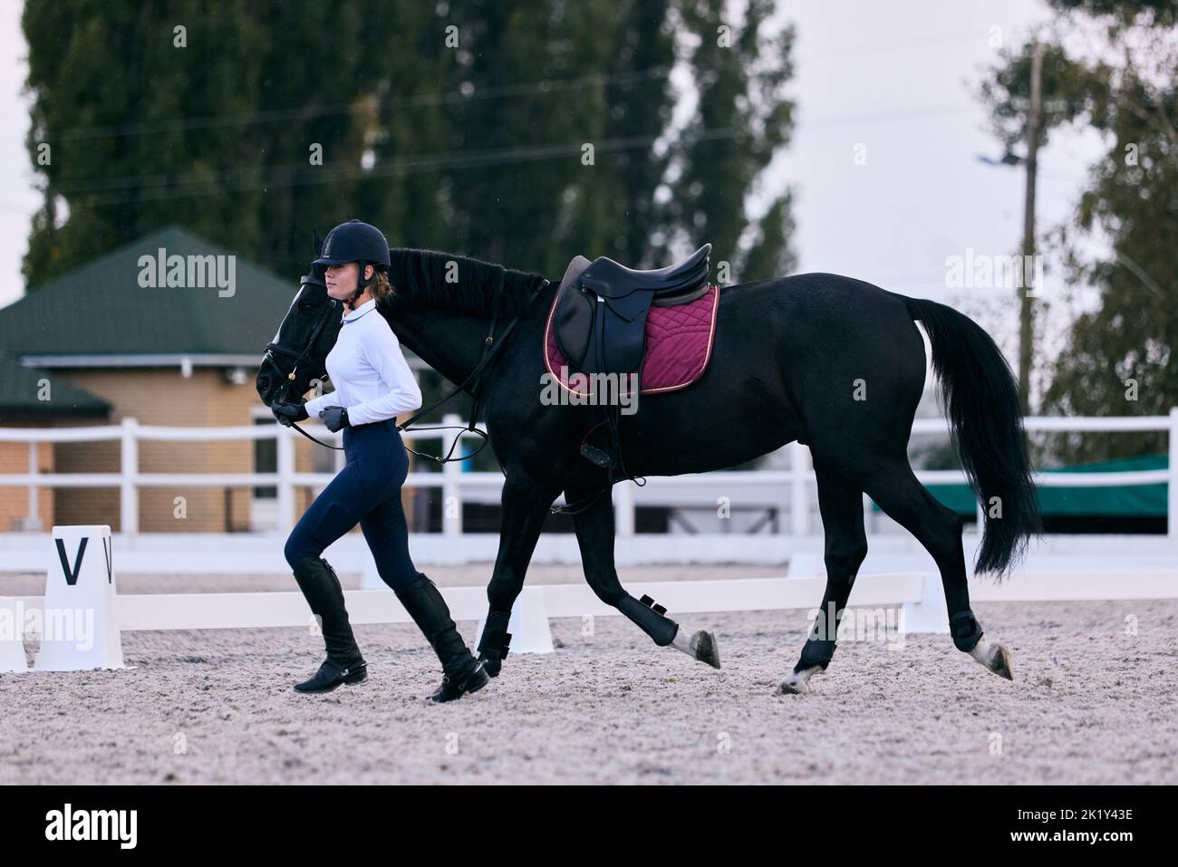 Equestrian sport. Portrait of teen girl, beginner female rider training ...