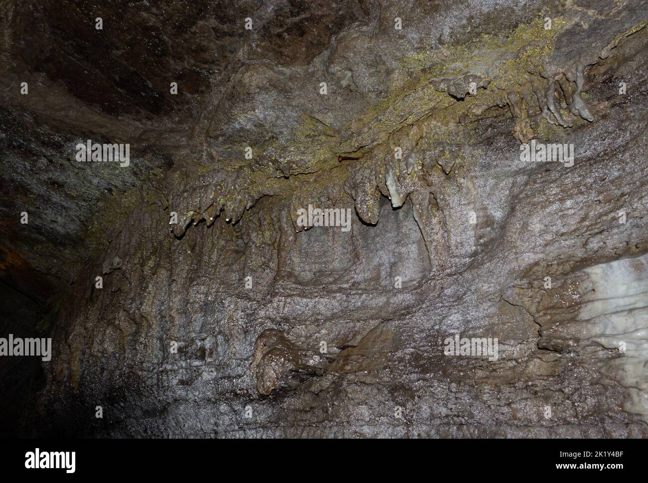 Stalactites developing in a limestone cave; dissolved and reformed ...