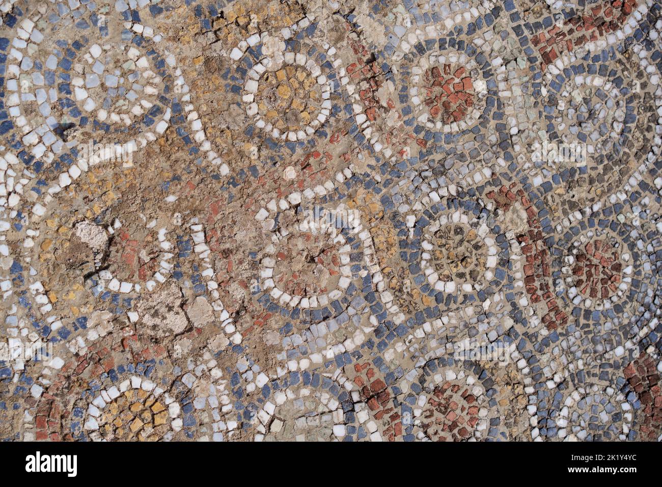 Seamless oval pattern hi-res stock photography and images - Alamy