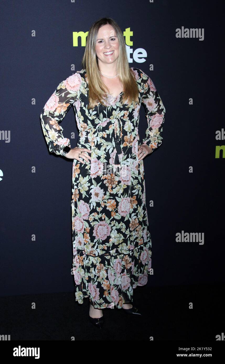 Original Shannon Model