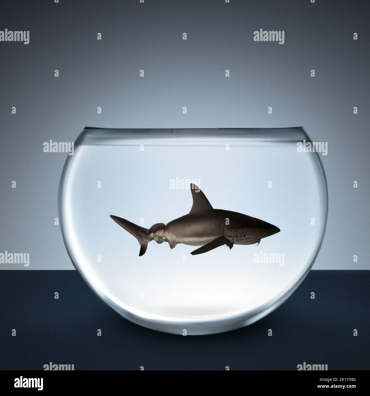 shark inside a fish bowl illustration artwork Stock Photo - Alamy