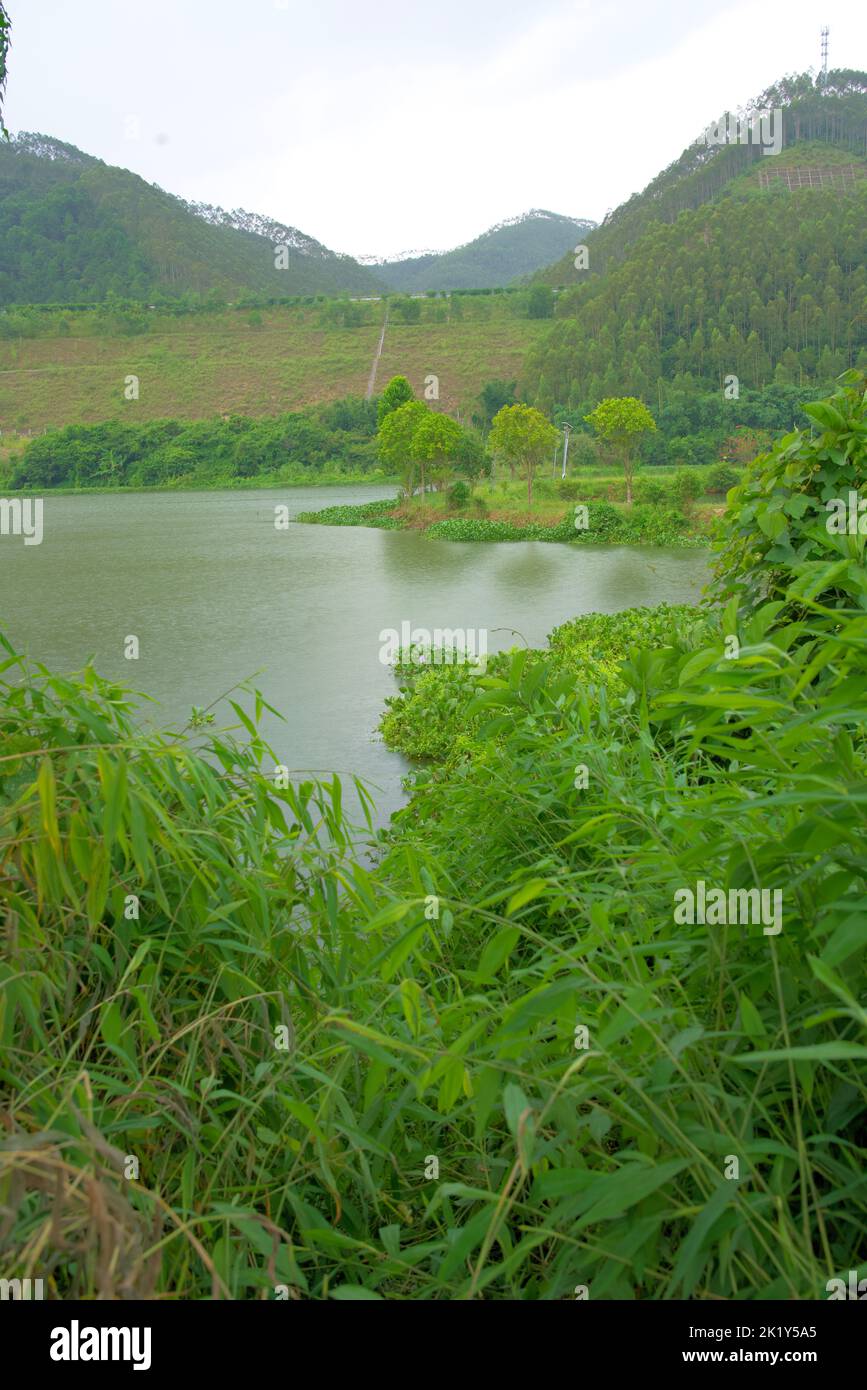 Riverside hill hi-res stock photography and images - Alamy