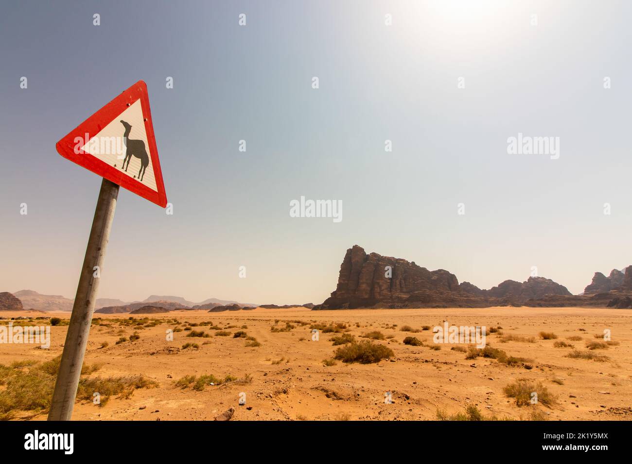 Funny road sign warning crossing camels in the Wadi Rum desert, in ...