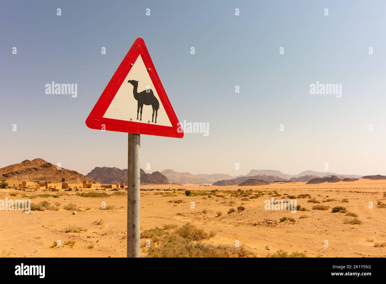 Funny road sign warning crossing camels in the Wadi Rum desert, in ...