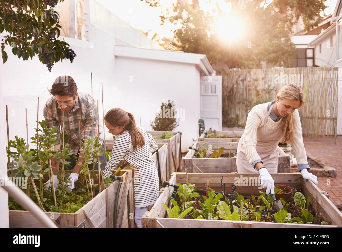 They have a love for growing things. a family gardening together in ...