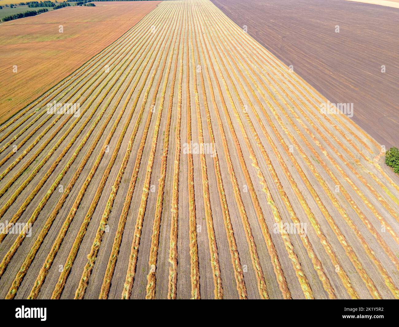 View from above field after harvest. Incredible landscapes and textures ...