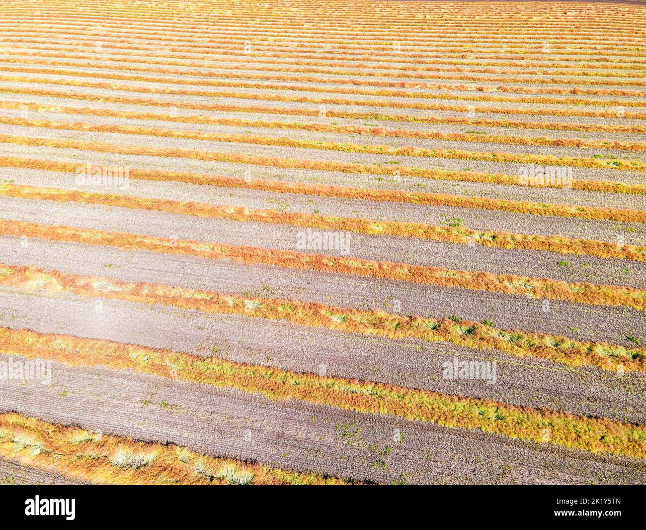 View from above field after harvest. Incredible landscapes and textures ...