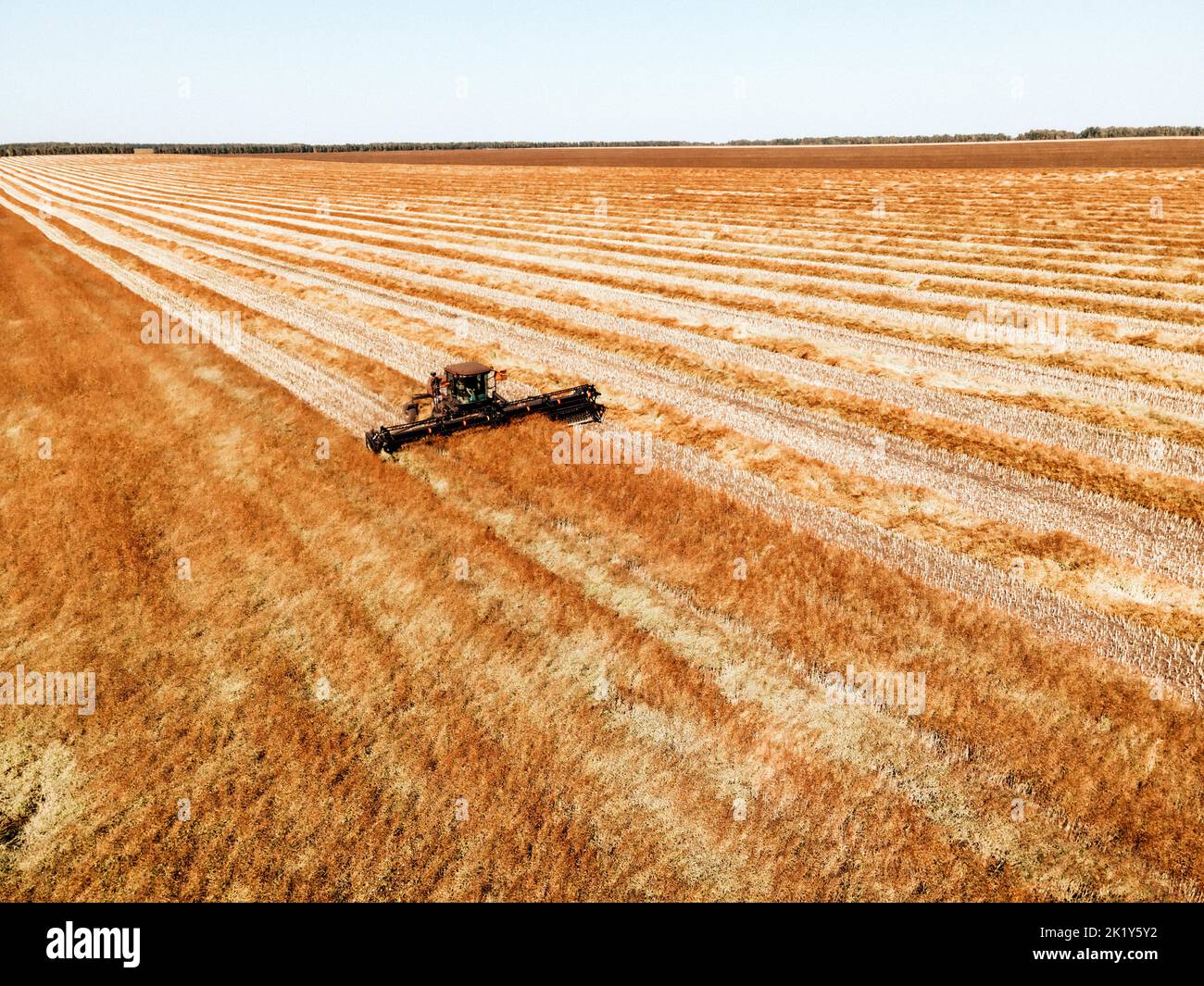 Aerial View Of Rural Landscape. Combine Harvester Working In Field ...