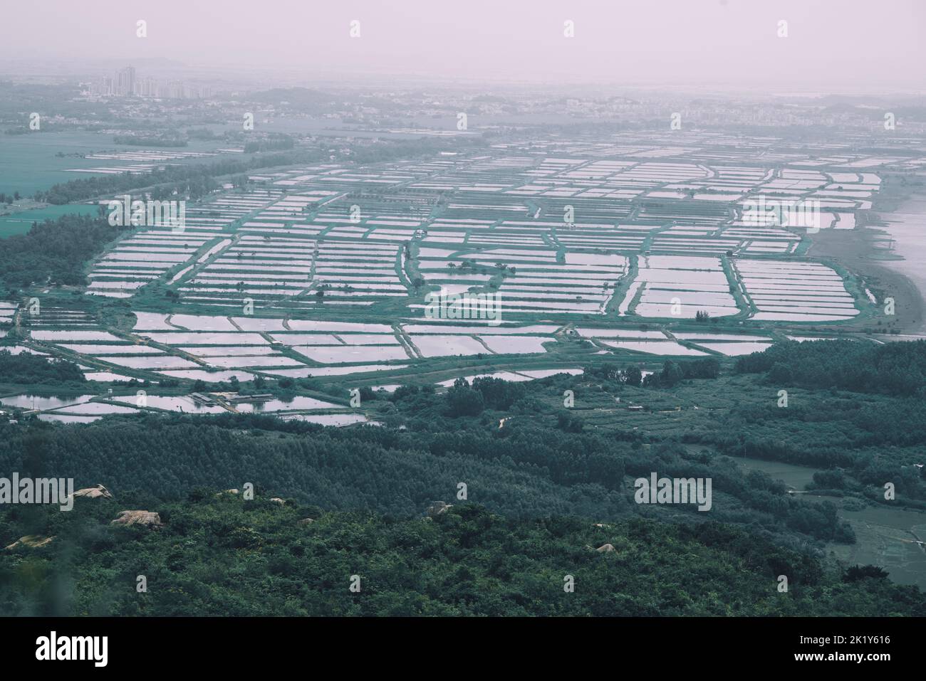 Fish field hi-res stock photography and images - Alamy