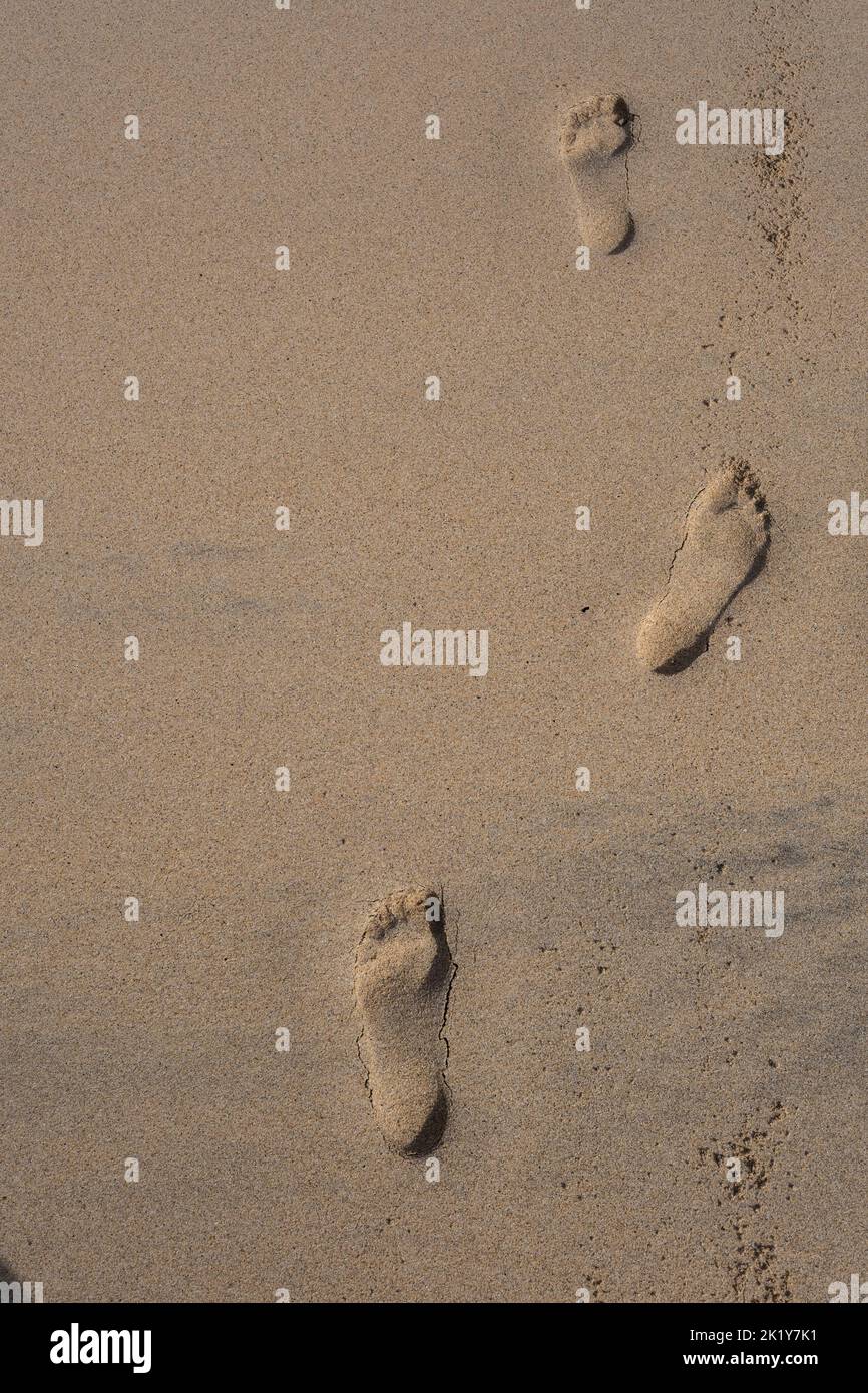 Footprints in the sand on a beach Stock Photo - Alamy
