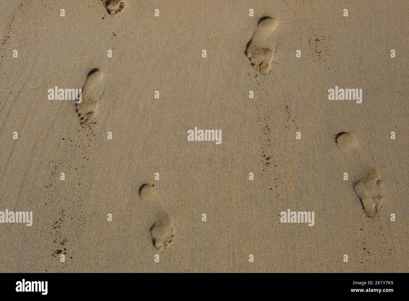 Toe cover hi-res stock photography and images - Alamy