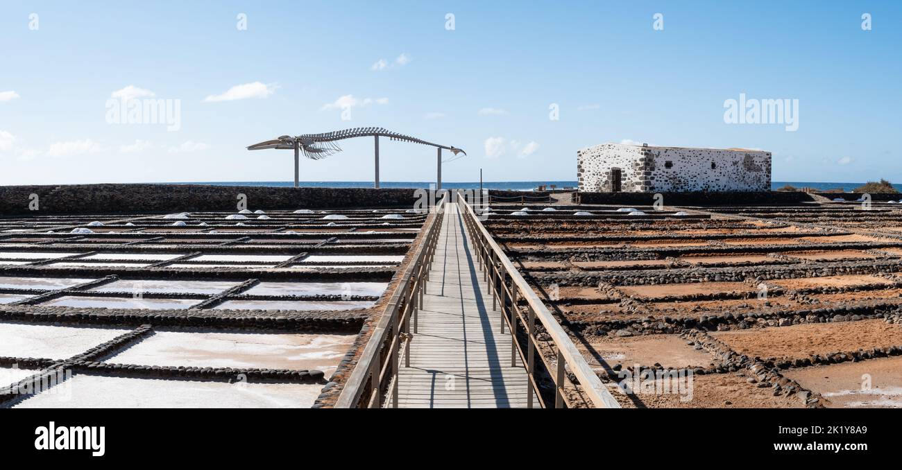 Salinas del Carmen and whale skeleton panorama, Fuerteventura island ...