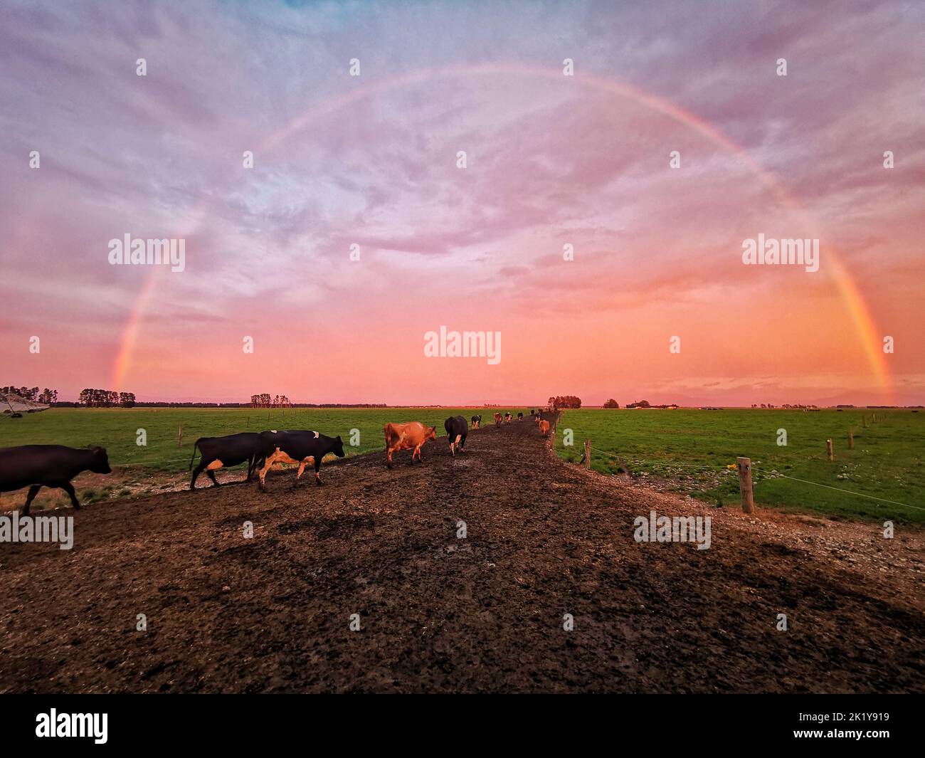 Rainbow farm photography hi-res stock photography and images - Alamy