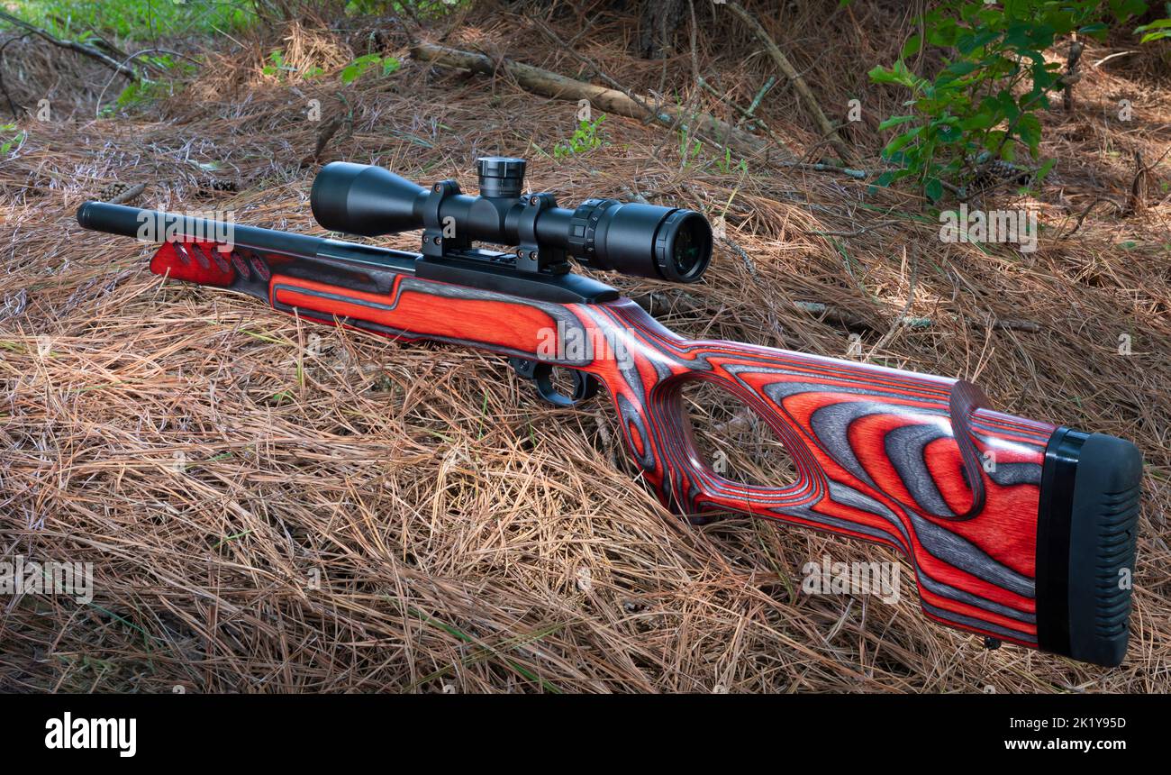 Rimfire semi-automatic rifle with riflescope and laminated red stock in ...