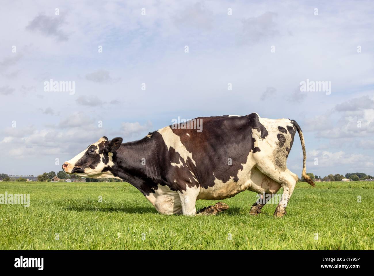 Praying knees hi-res stock photography and images - Alamy