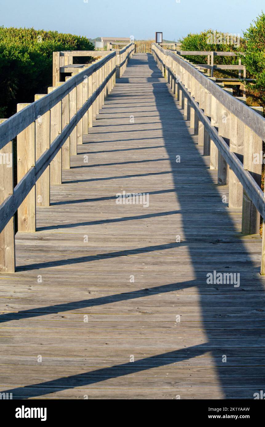 Wooden boardwalk on a beach at sunrise, summer time Stock Photo - Alamy