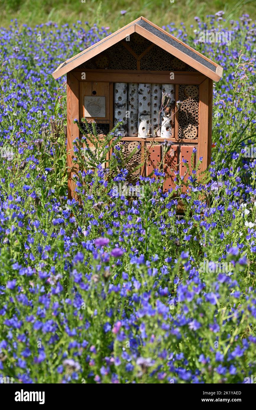 Special house for useful garden insects, built of natural materials ...