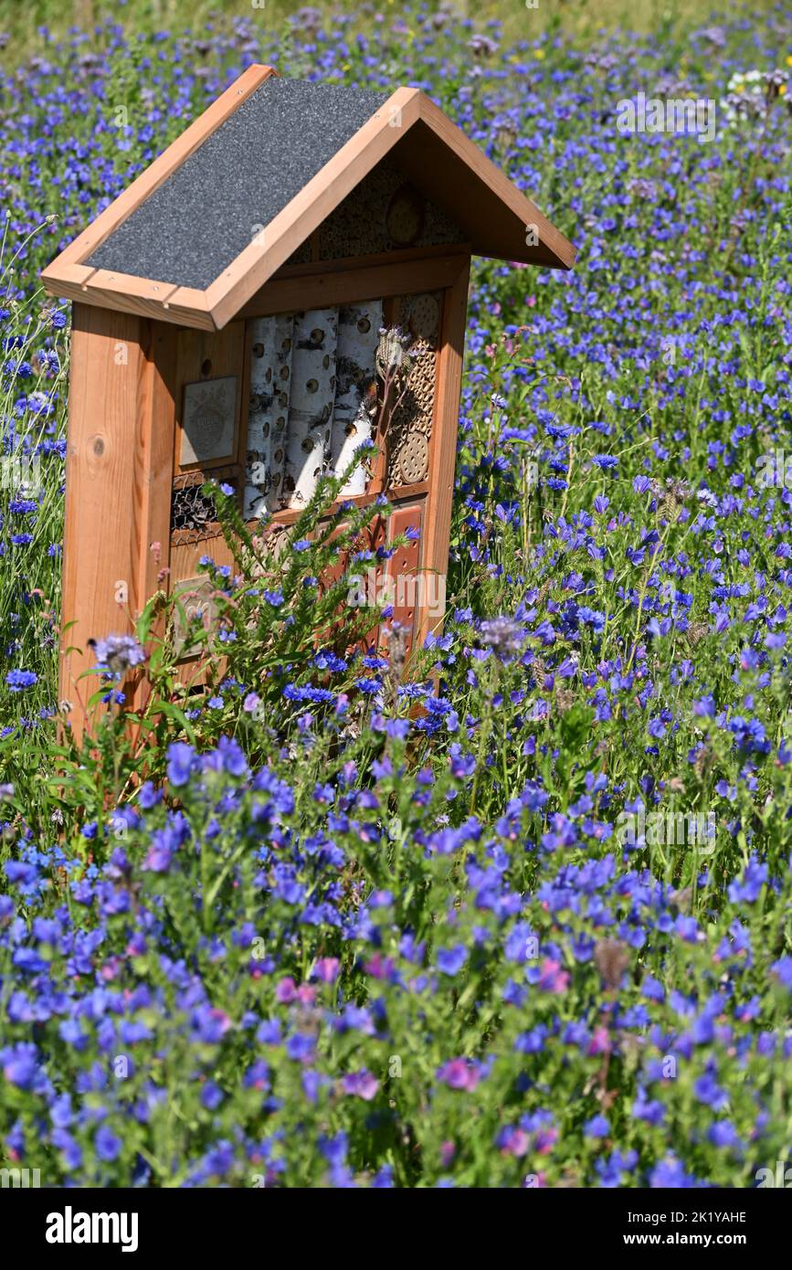 Special house for useful garden insects, built of natural materials ...