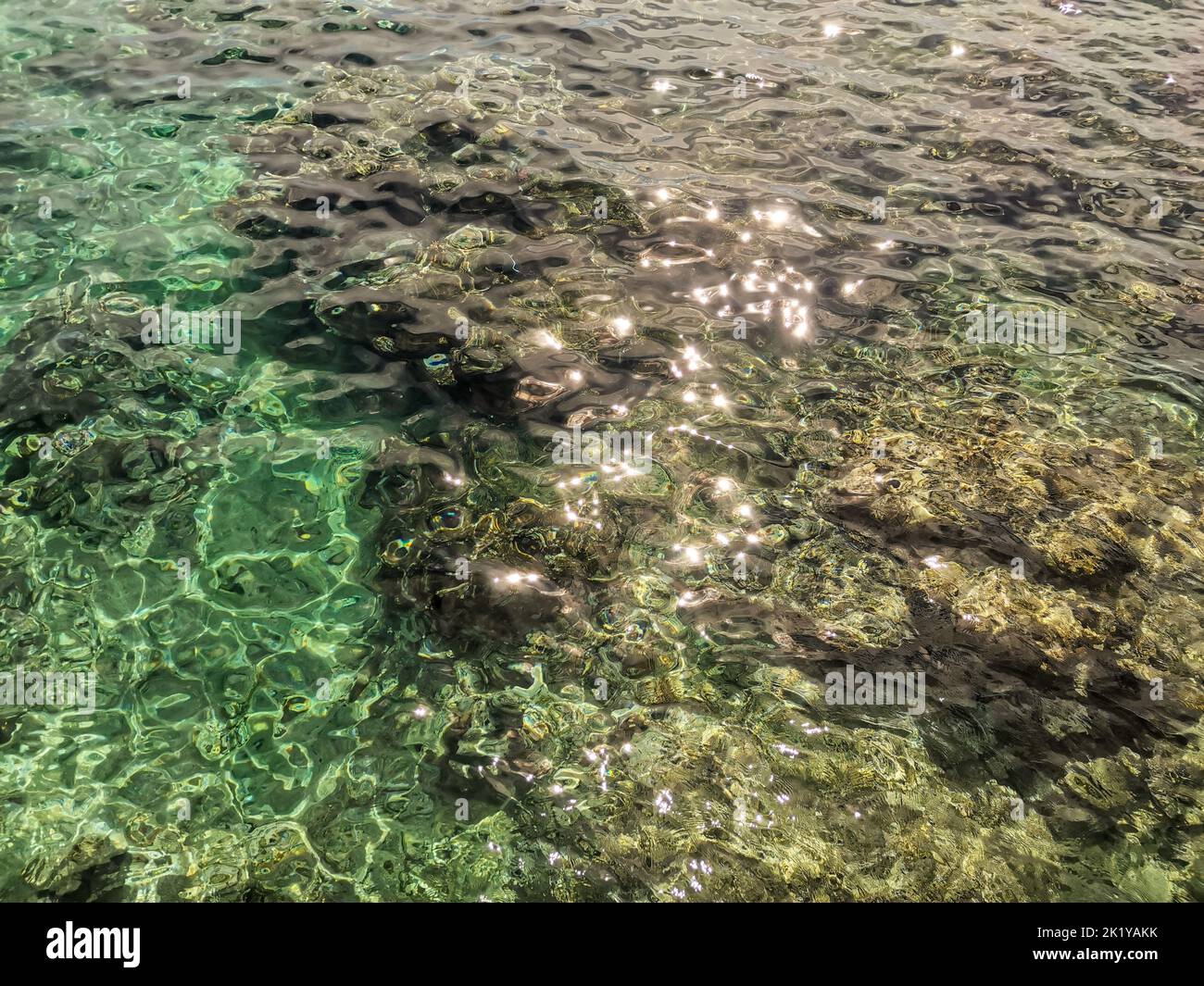 Emerald seabed background Stock Photo - Alamy