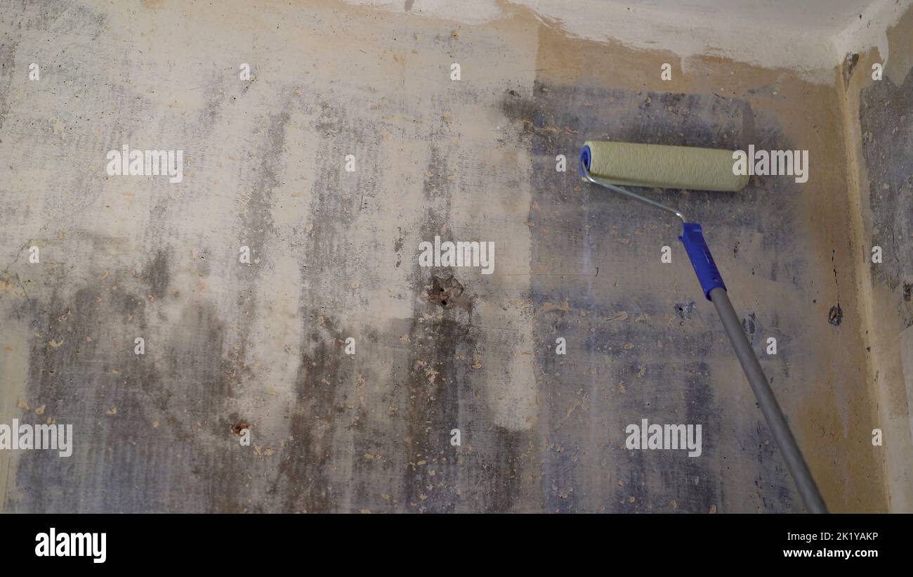 Painter at home renovation work with prime. wall primer coating with ...