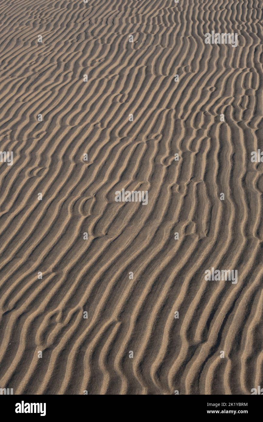 Textures in sand shaped hi-res stock photography and images - Alamy
