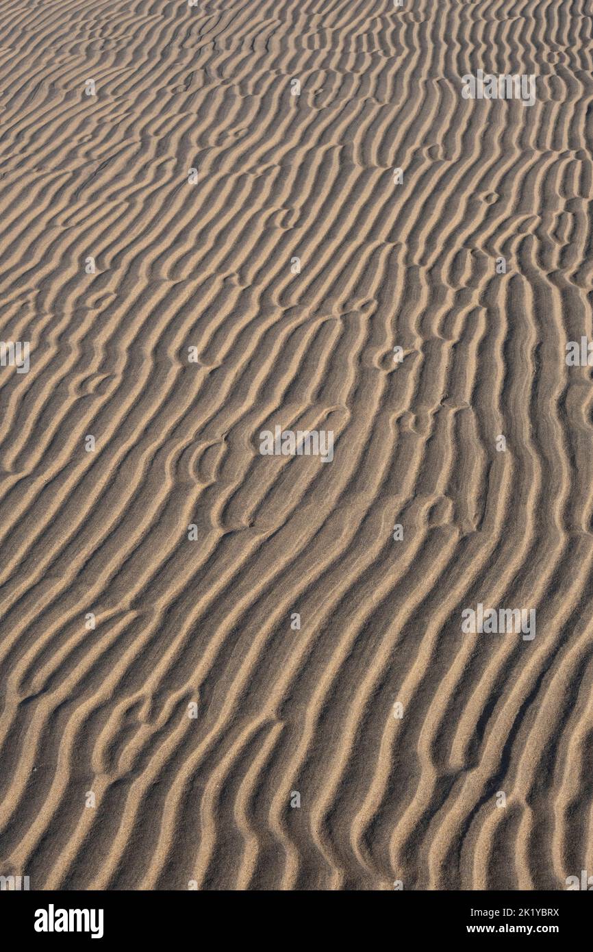 Geology ripple marks hi-res stock photography and images - Alamy