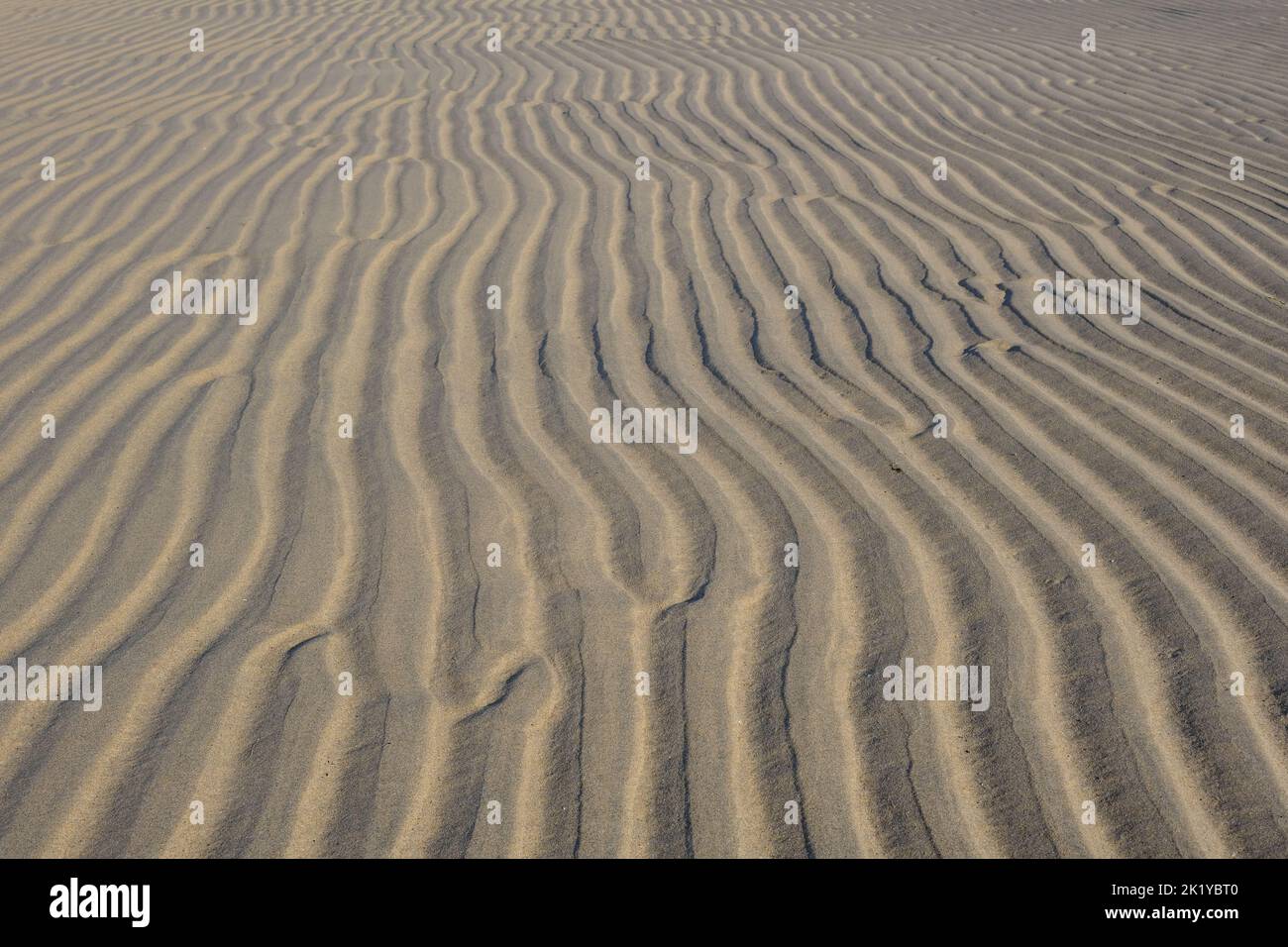 RIPPLES IN THE SAND Stock Photo - Alamy
