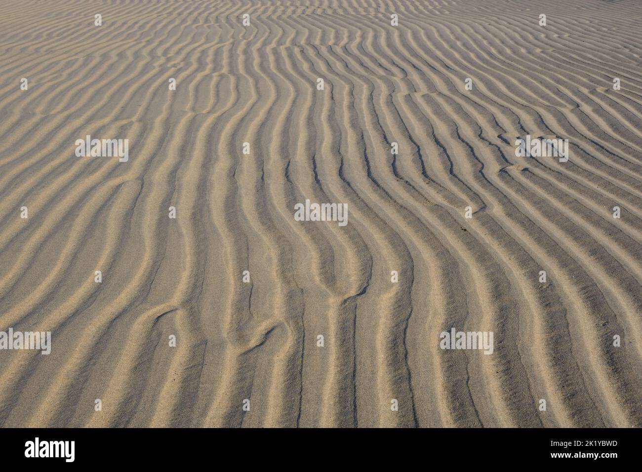 RIPPLES IN THE SAND Stock Photo - Alamy