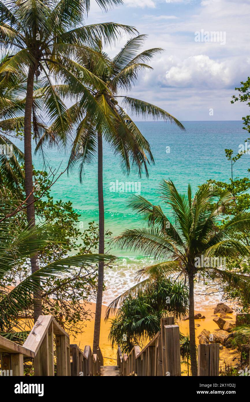 Wood steps palm tree beach hi-res stock photography and images - Alamy