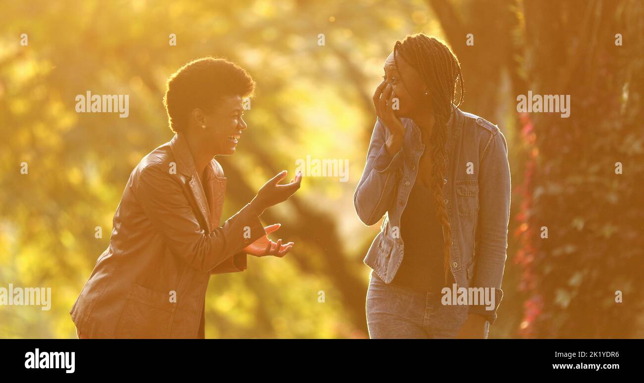 Two women in conversation outside in street with sunlight Stock Photo ...