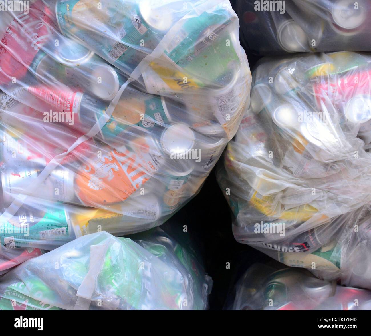 Plastic bags of used aluminium drinks or beverage cans wait to be ...