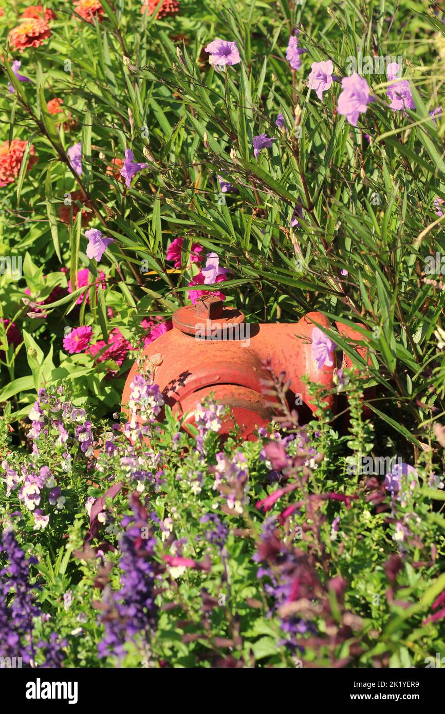 Red fire hydrant flowers hi-res stock photography and images - Alamy