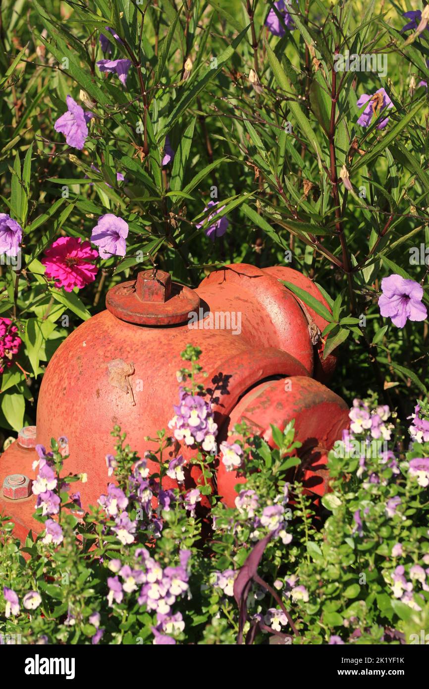 Bright red fire hydrant standing in the summer flower garden Stock ...