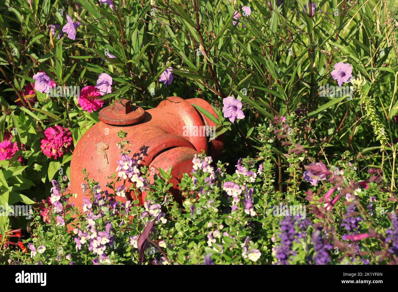 Fire hydrant in plants hi-res stock photography and images - Alamy