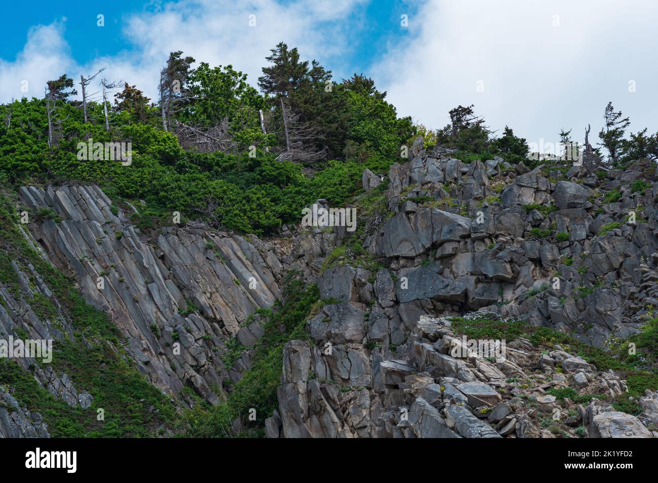 coastal landscape, beautiful wooded rocks formed by columnar basalt ...